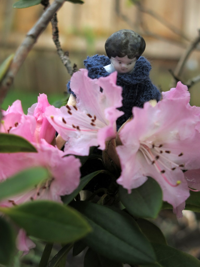 February Flower Frolic | Quimper Hittys