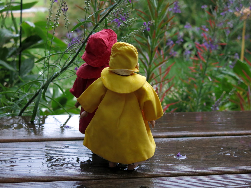 July Rain (1) | Quimper Hittys
